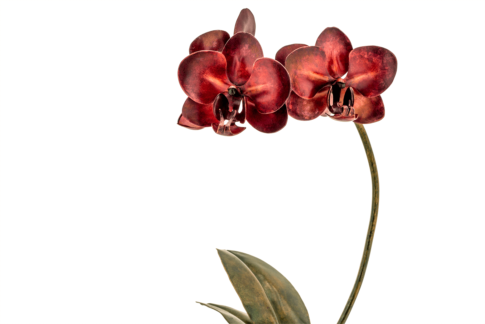 CopperFlora -The 4Ever Flowers, Handmade copper roses, orchids & plant